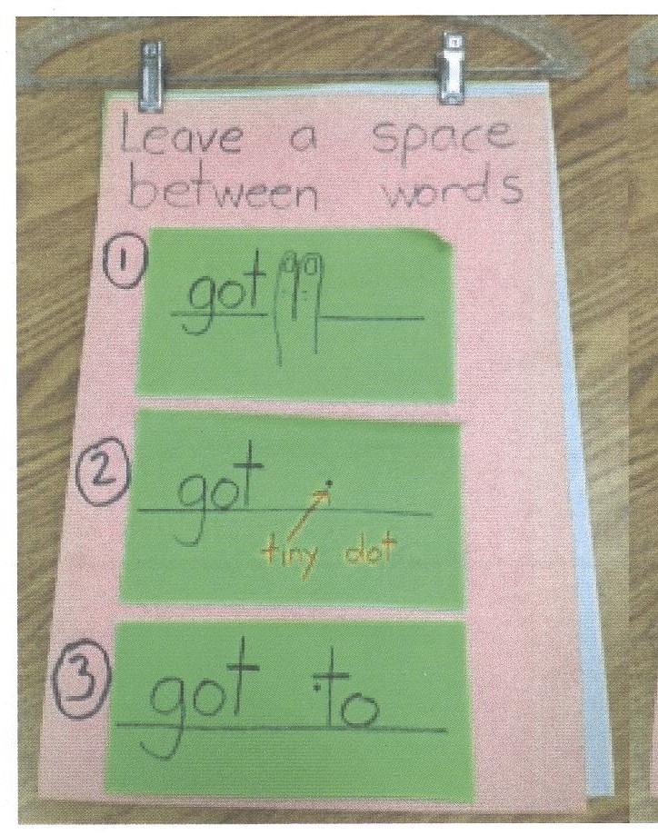 Untitled Document [ww3.mamkschools.org]